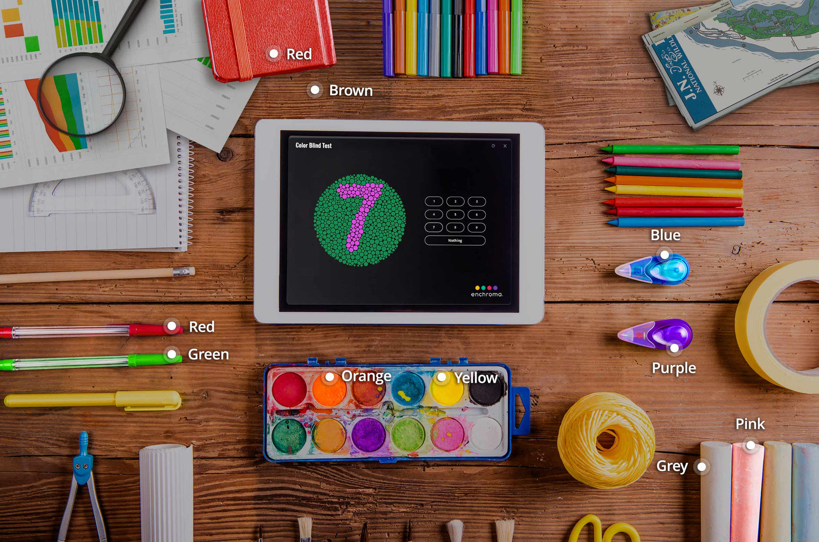 Color Accessibility Program | Support Groups for Color Blindness