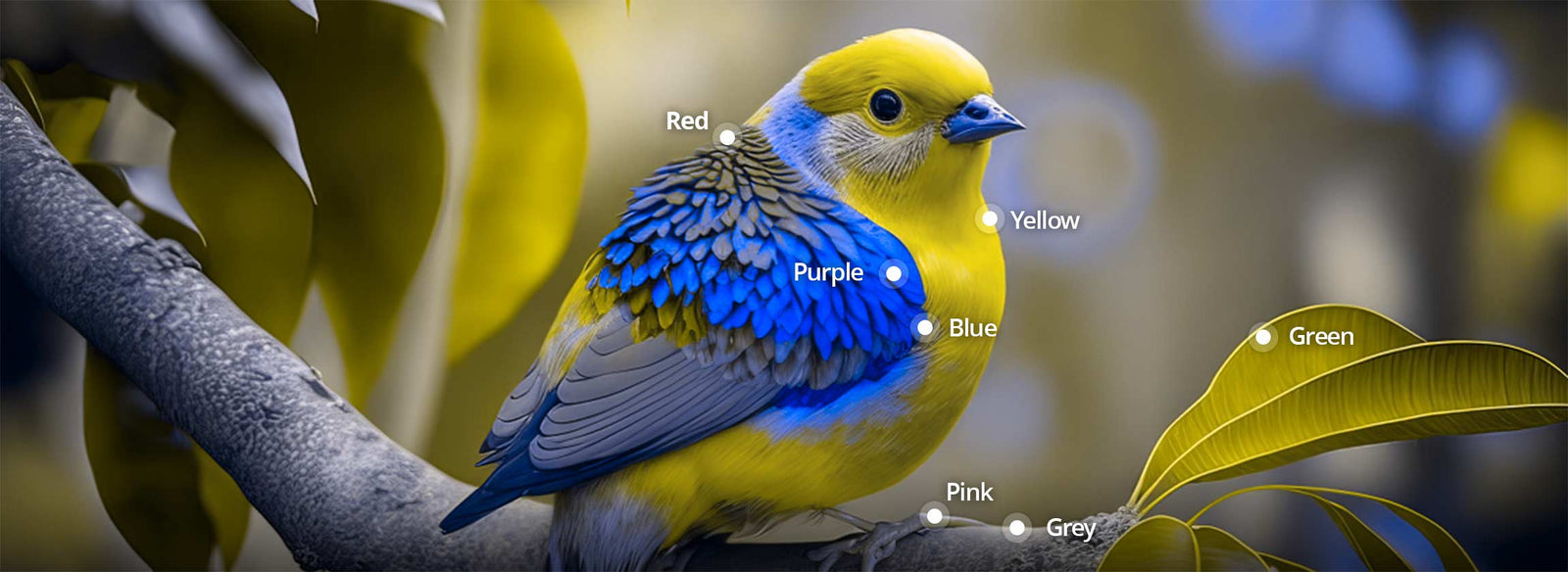 Different Types of Color Blindness | Types of Color Vision