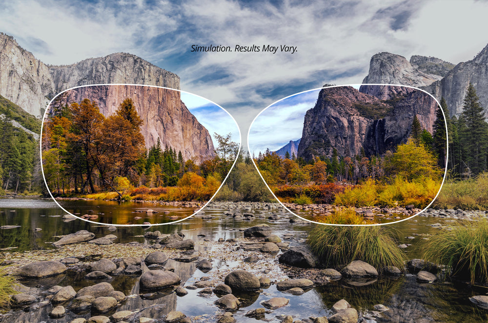 Normal Color Vision Test Results | Color Vision Normal Range