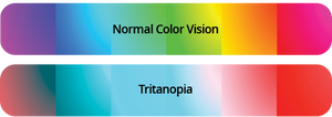 Tritan Type Color Blindness Test Result | EnChroma