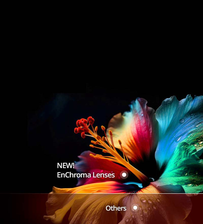 EnChroma® Color Blind Glasses | Color Blind Eyewear