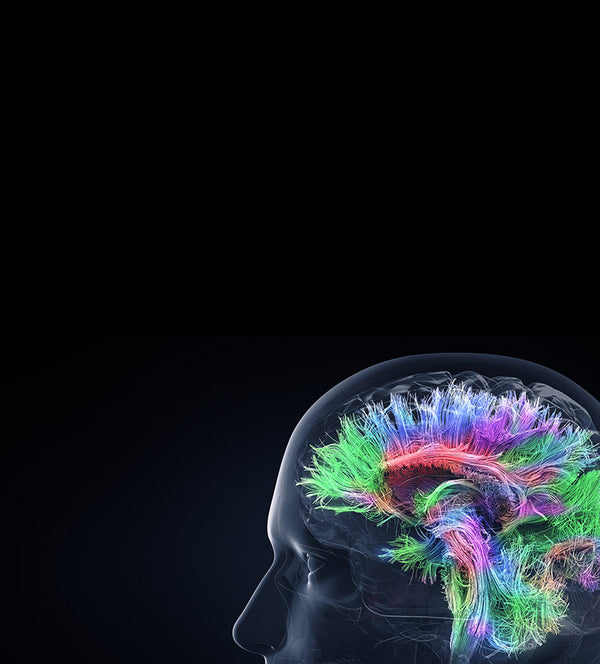 EnChroma® Color Blind Glasses | Color Blind Eyewear