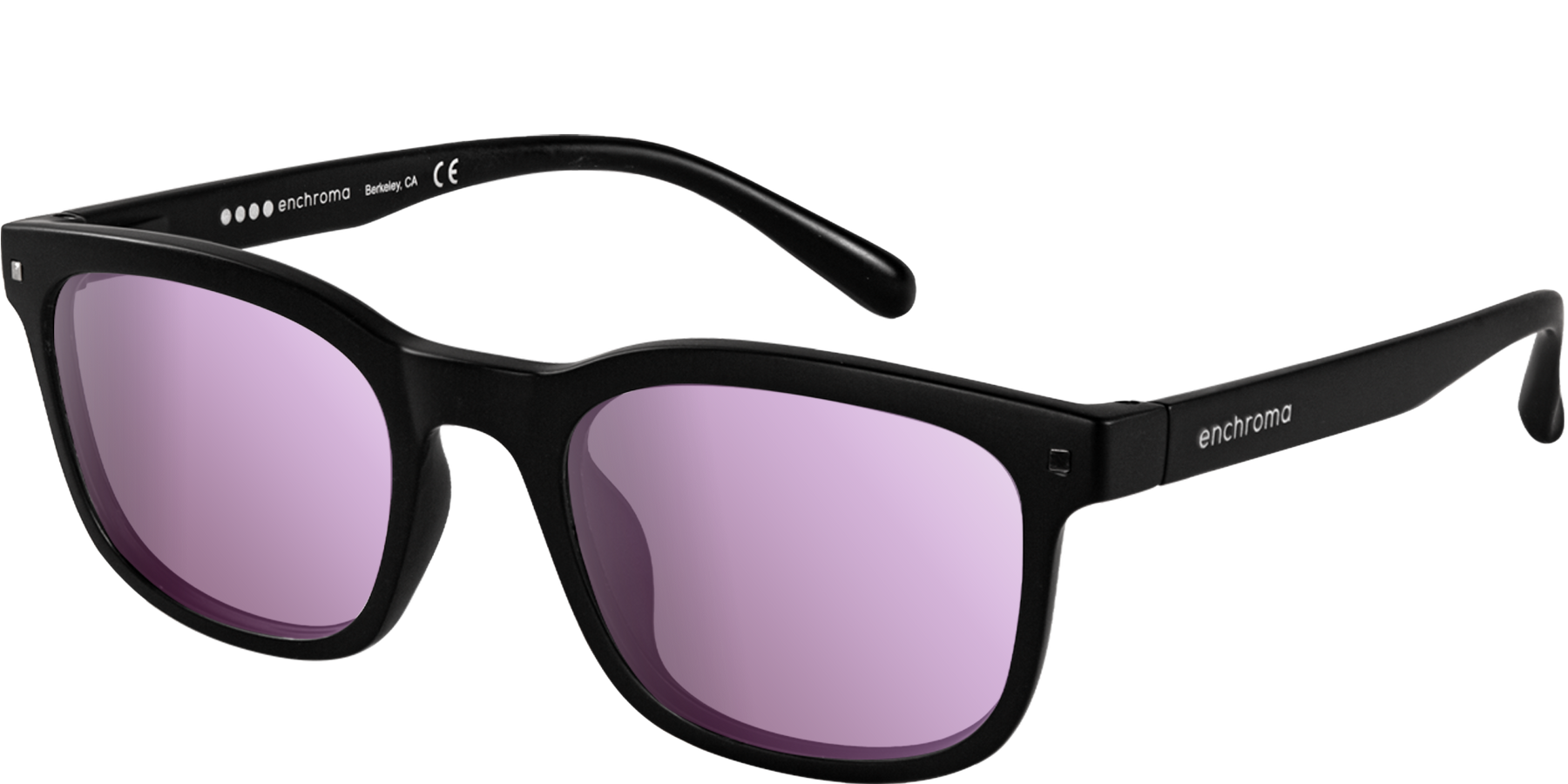 Grayson Matte Black Frame Indoor Universal Glasses
